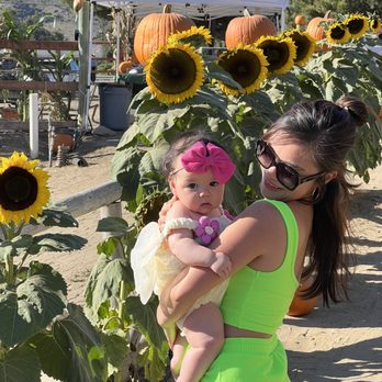 PRANCERS FARM - Updated July 2025 - 148 Photos & 44 Reviews - 18540 E ...