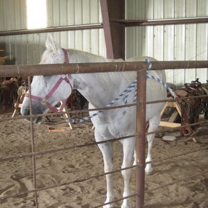 CAMP WOOD YMCA - 1101 Camp Wood Rd, Elmdale, KS - Yelp