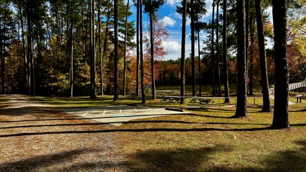 CHESTER STATE PARK - Updated October 2025 - 35 Photos & 12 Reviews ...