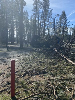 NEVADA COUNTY FAIRGROUNDS - Updated May 2026 - 138 Photos & 74 Reviews ...