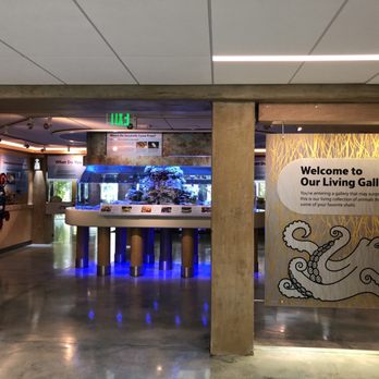 THE BAILEY-MATTHEWS SHELL MUSEUM - Updated February 2025 - 268 Photos ...