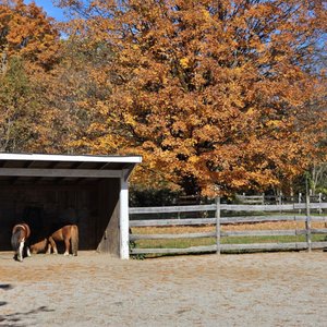 MUSTANG MEADOW - Updated November 2025 - 10 Photos - 571 Quaker Farms ...