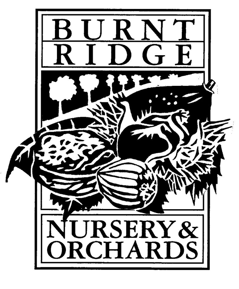 BURNT RIDGE NURSERY & ORCHARDS - Updated May 2024 - 44 Reviews - 432 ...