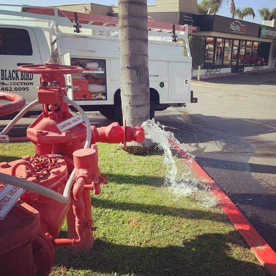 BLACK BIRD FIRE PROTECTION INC - Updated August 2025 - 570 Photos & 138 ...