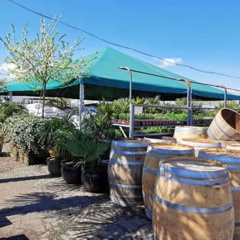 LEONG’S NURSERY - Updated December 2025 - 24 Photos - 7487 Meadow ...