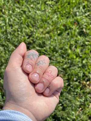 KAI’S NAIL SPA - Updated October 2025 - 444 Photos & 326 Reviews - 5155 ...