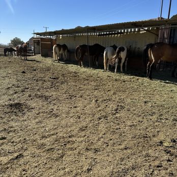 MACDONALD’S RANCH - Updated October 2025 - 532 Photos & 291 Reviews ...