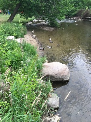 Rochester Municipal Park - 55 Photos & 14 Reviews - Parks - 608 Seventh ...