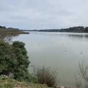 LAKE MERCED - 656 Photos & 274 Reviews - 1 Harding Rd, San Francisco ...