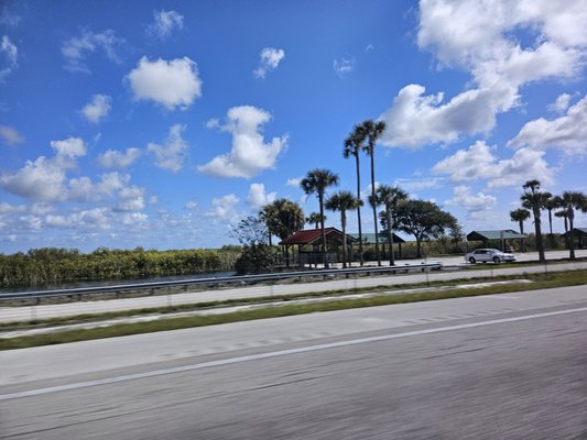 ALLIGATOR ALLEY REST STOP - Updated August 2024 - 41 Photos ...