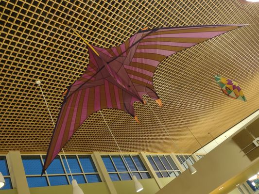 CAROLINE KENNEDY LIBRARY - Updated January 2026 - 23 Photos - 24590 George St, Dearborn Heights ...