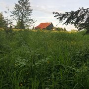 CLARK LAKE PARK - 69 Photos & 30 Reviews - Lakes - 12655-12749 SE 240th ...