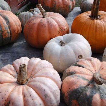 MASKER ORCHARDS - Updated December 2025 - 393 Photos & 236 Reviews - 45 ...