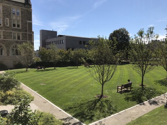 BOSTON COLLEGE - Updated August 2024 - 72 Photos & 31 Reviews - 140 ...