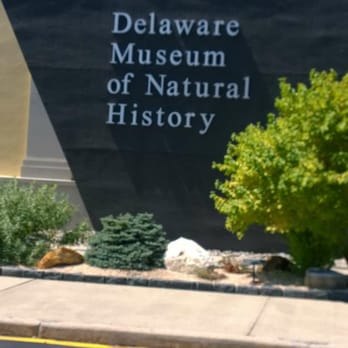 DELAWARE MUSEUM OF NATURE AND SCIENCE - Updated May 2025 - 125 Photos ...