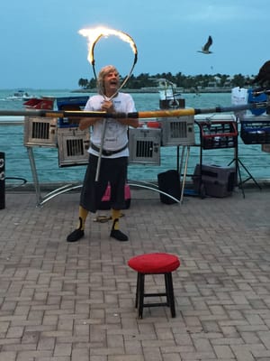 CAT MAN - Updated September 2025 - 27 Reviews - 5700 Laurel Ave, Key ...