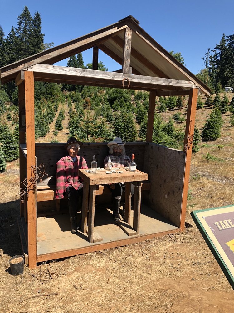 HELVETIA LAVENDER FARM - 46 Photos & 19 Reviews - 12814 NW Bishop Rd ...