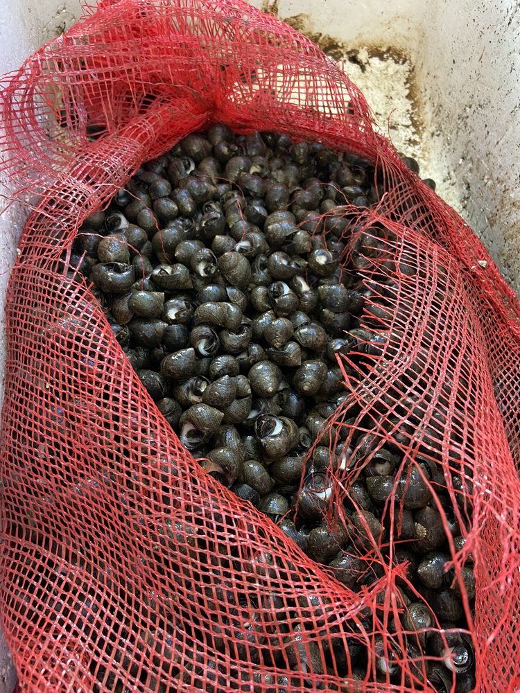 OCEAN SEAFOOD MARKET - 26 Photos - 1500 Ocean Ave, San Francisco ...