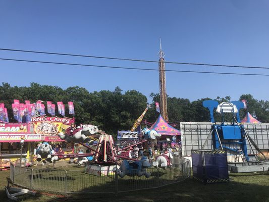 PUNGO STRAWBERRY FESTIVAL - 122 Photos & 34 Reviews - 1776 Princess ...