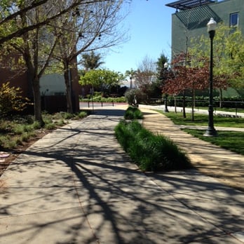 EMERYVILLE GREENWAY - Updated June 2024 - Powell And Hollis St ...