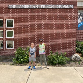 THE AMERICAN PIGEON MUSEUM AND LIBRARY - Updated March 2026 - 99 Photos ...