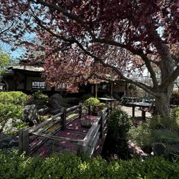 DOMO - Updated November 2025 - 1250 Reviews & 1510 Photos - 1365 Osage ...