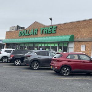 DOLLAR TREE - 17 Photos & 29 Reviews - 3767 Hempstead Tpke, Levittown ...
