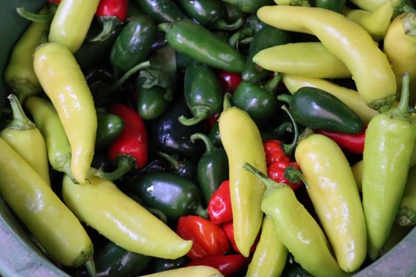 WINDY SPRINGS FARM - Updated September 2024 - 28 Photos - 1970 John ...