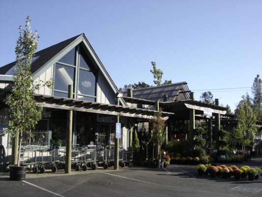 WEISS BROS NURSERY - Updated January 2026 - 21 Reviews - 615 Maltman Dr ...