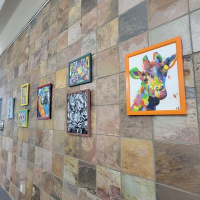 SAN MARCOS LIBRARY - Updated November 2025 - 55 Photos & 67 Reviews - 2 ...