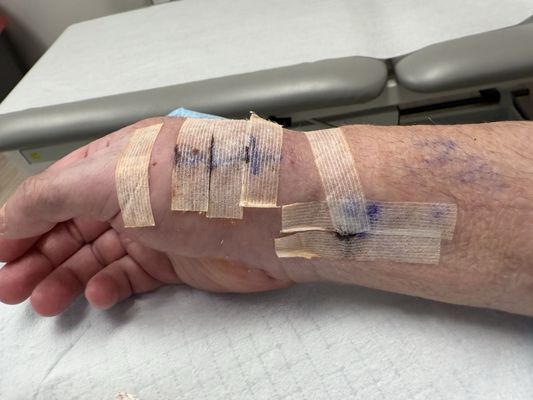 HSS FLORIDA - Updated November 2025 - 20 Photos & 18 Reviews - 300 Palm ...