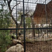 ALAMEDA PARK ZOO - 146 Photos & 44 Reviews - 1021 N White Sands Blvd ...