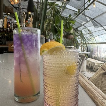 THE GREENHOUSE BAR - Updated July 2024 - 357 Photos & 300 Reviews ...