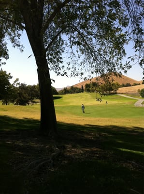 RIVER ISLAND COUNTRY CLUB - Updated December 2025 - 40 Photos & 23 ...