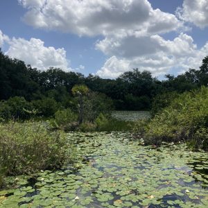 LONG KEY NATURAL AREA & NATURE CENTER - 299 Photos & 30 Reviews - 3501 ...