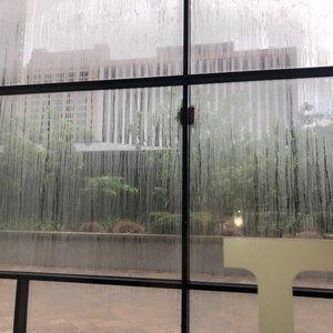 CHEF WANG - 21 Photos & 40 Reviews - Chinese - 1201 Main St, Dallas, TX ...