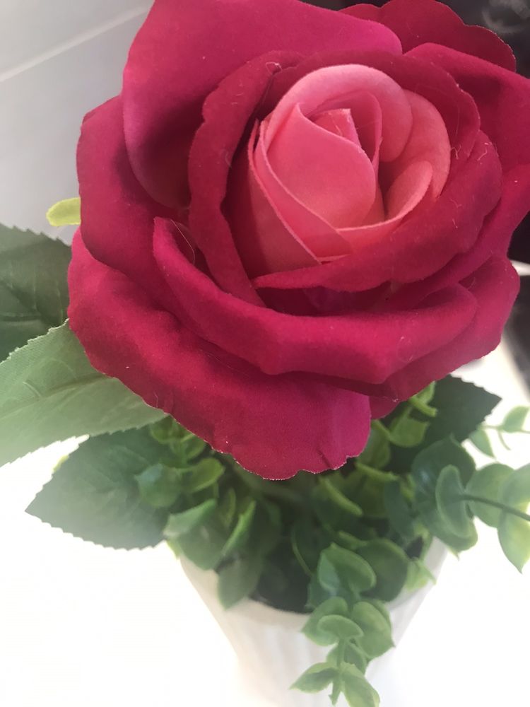 DAVID H. KOCH CENTER - Updated December 2025 - 1283 York Ave, New York ...