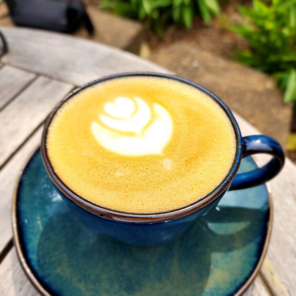 GOODMAN COFFEE ROASTERS - Updated May 2025 - 14 Photos - 3913 St Elmo ...