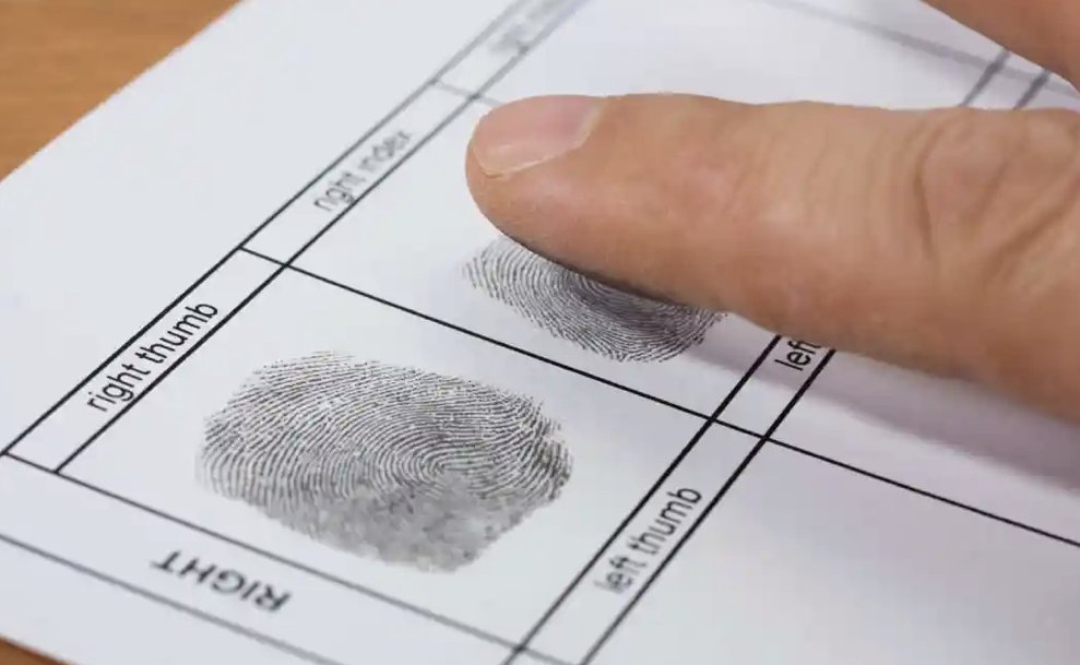 ROYAL NOTARY AND LEGAL DOCUMENT PREPARERS - Updated October 2025 ...