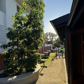 DOCENT BREWING - Updated December 2025 - 110 Photos & 71 Reviews - 3060 ...