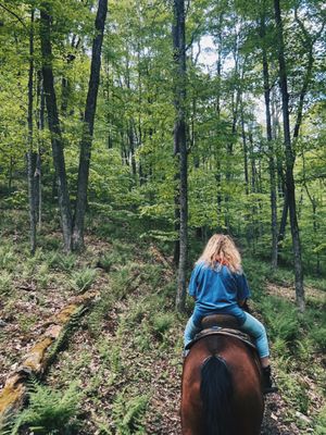 SUMMIT TRAIL RIDES - Updated October 2025 - 12 Photos - 2028 S Woods Rd ...