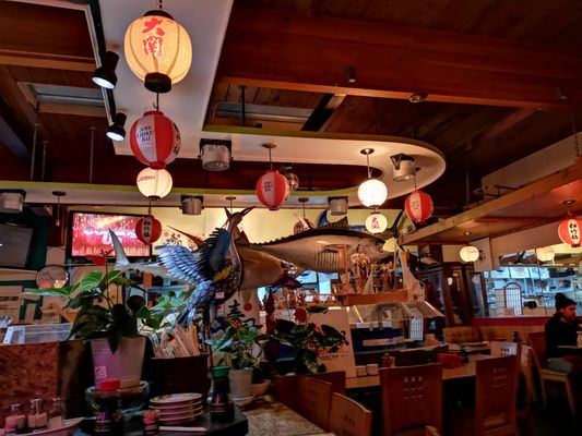 SAKURA JAPANESE RESTAURANT - 348 Photos & 341 Reviews - 574 Lighthouse ...