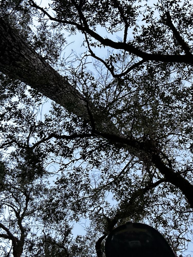 STANDISH-HICKEY STATE RECREATION AREA - Updated January 2026 - 71 ...