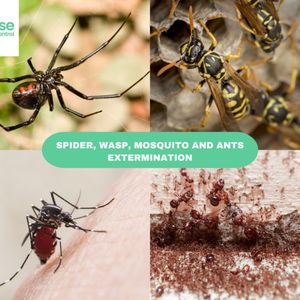 WESTERN EXTERMINATOR COMPANY - Updated August 2025 - 56 Photos & 376 ...