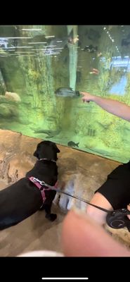 BASS PRO SHOPS - Updated April 2024 - 10 Reviews - 3600 S Lindbergh ...