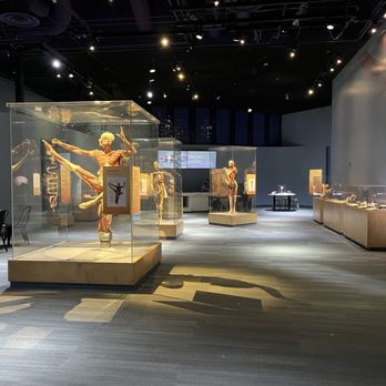 THE TECH INTERACTIVE - Updated December 2025 - 1409 Photos & 754 ...