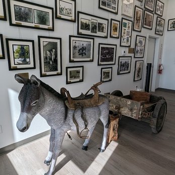 DONKEY HISTORY MUSEUM - Updated July 2025 - 50 Photos & 19 Reviews ...