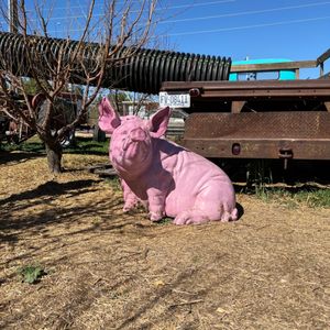 AMADIO RANCH FARM STORE - 53 Photos & 62 Reviews - Farmers Market ...