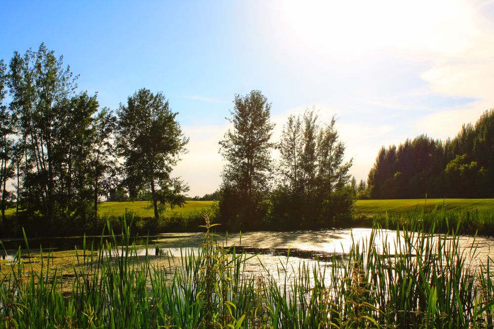 CALAHOO HILLS GOLF COURSE - Updated December 2024 - 12 Photos - 54410 ...