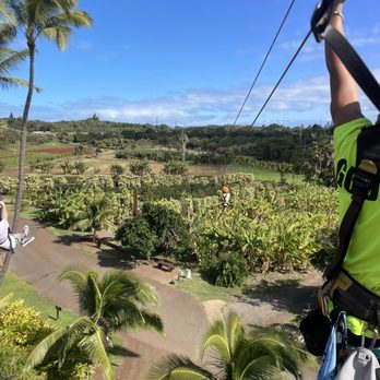 MAUI ZIPLINE COMPANY - Updated May 2024 - 515 Photos & 753 Reviews ...